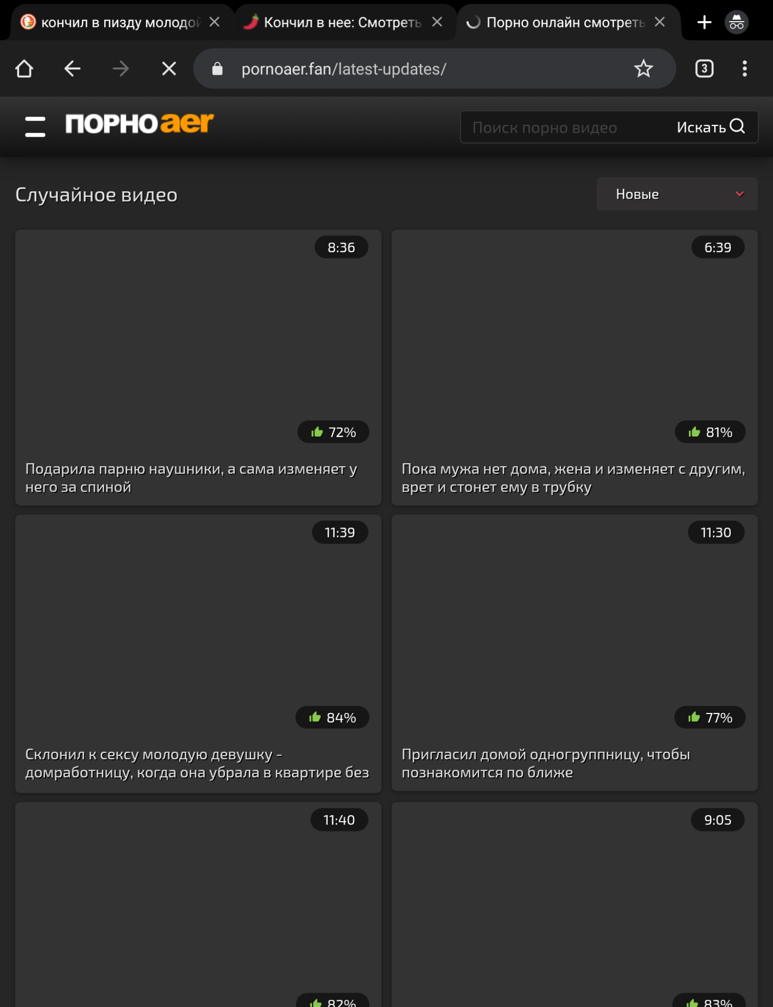 pornoaer.fan · Issue #178765 · AdguardTeam/AdguardFilters · GitHub