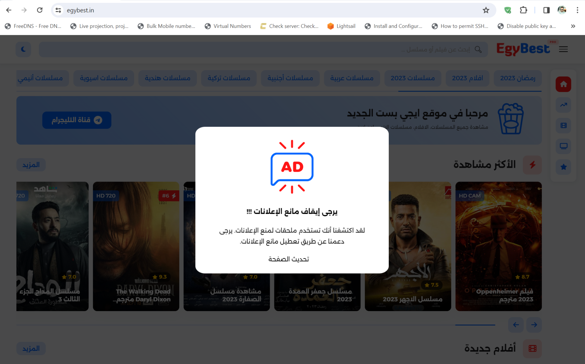 egybest.in · Issue #169795 · AdguardTeam/AdguardFilters · GitHub