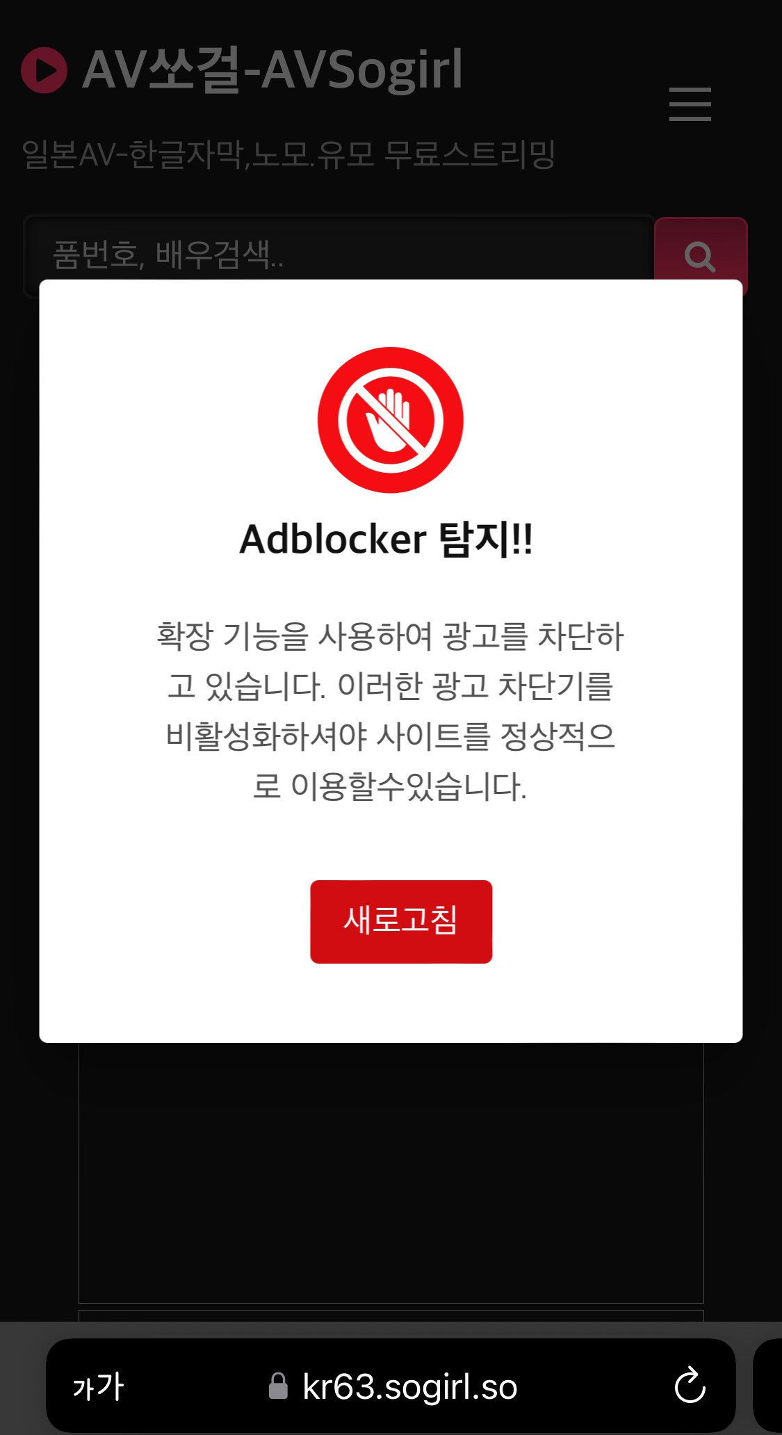 kr63.sogirl.so · Issue #174073 · AdguardTeam/AdguardFilters · GitHub