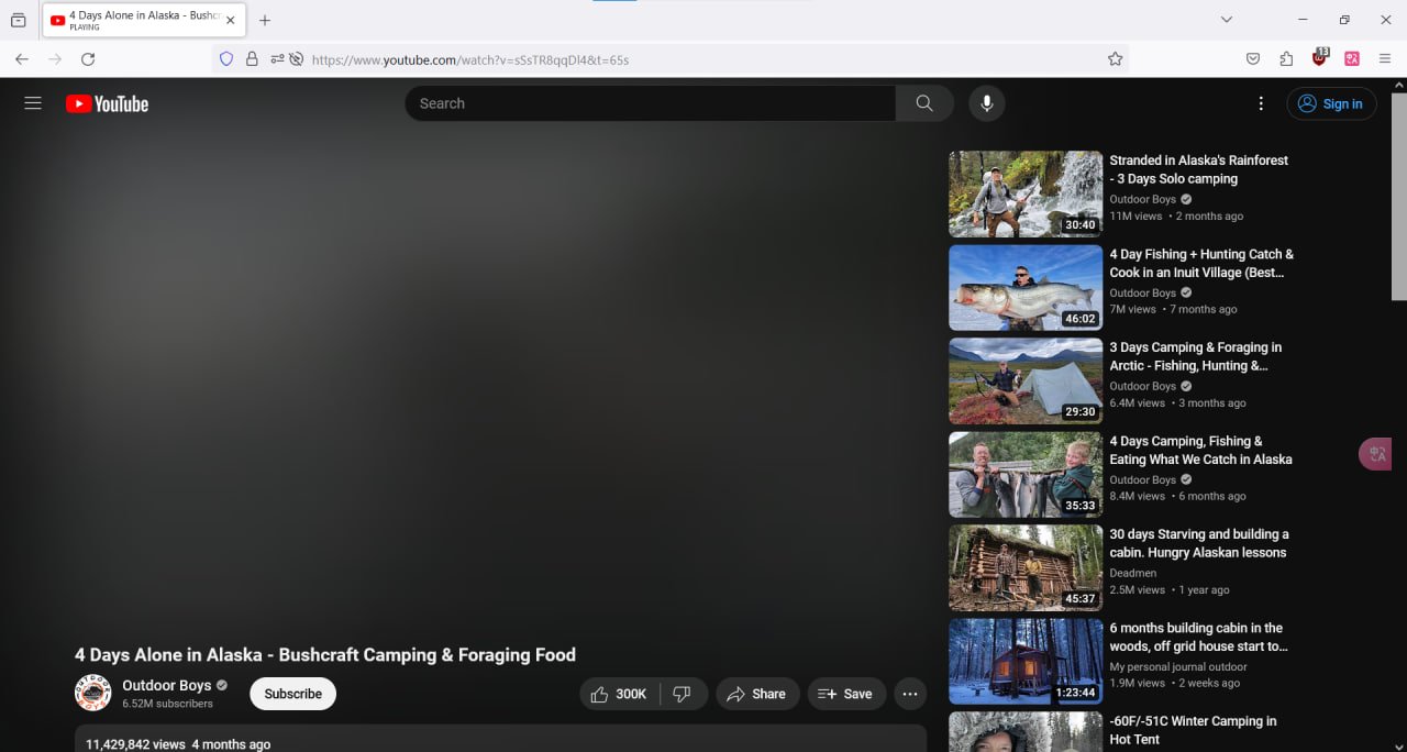 youtube.com · Issue #169952 · AdguardTeam/AdguardFilters · GitHub