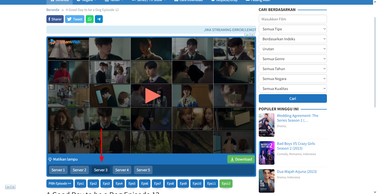 tv2.ngefilm21.homes · Issue #169621 · AdguardTeam/AdguardFilters · GitHub