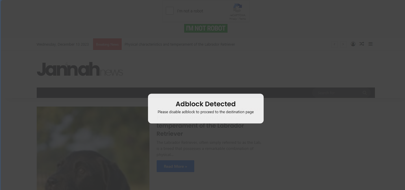 top.topappx.in · Issue #168480 · AdguardTeam/AdguardFilters · GitHub