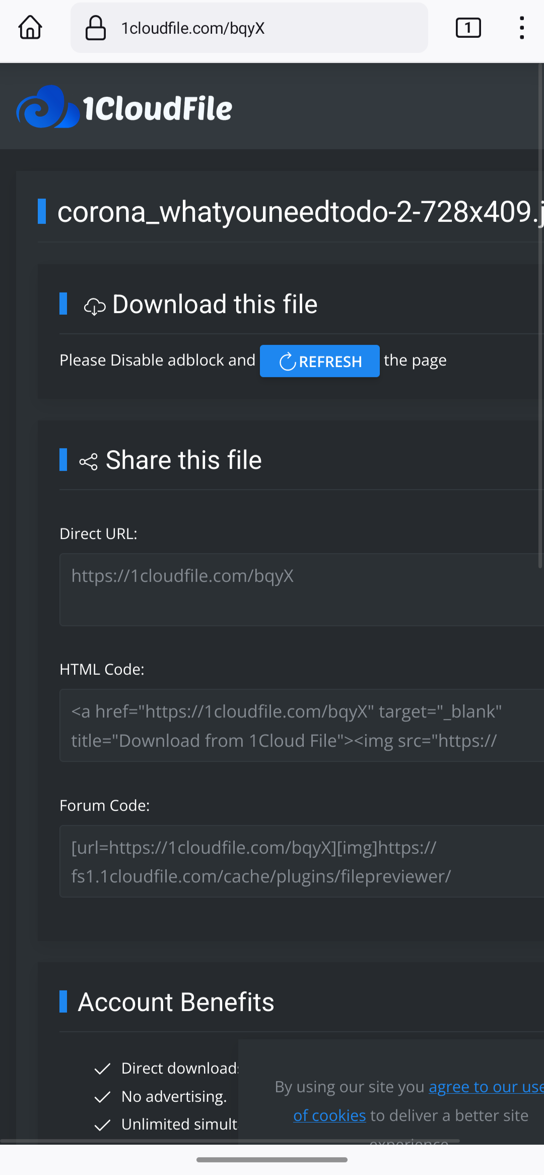 1cloudfile.com · Issue #171737 · AdguardTeam/AdguardFilters · GitHub