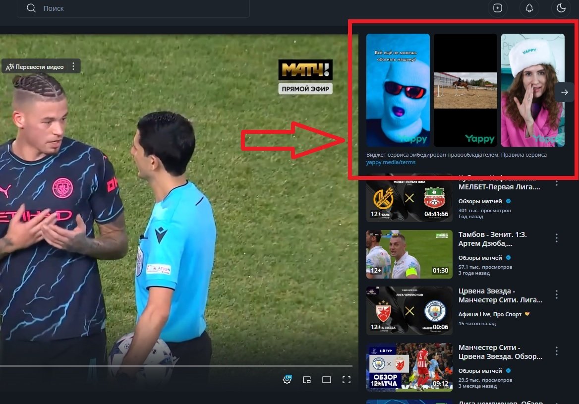 rutube.ru · Issue #168505 · AdguardTeam/AdguardFilters · GitHub