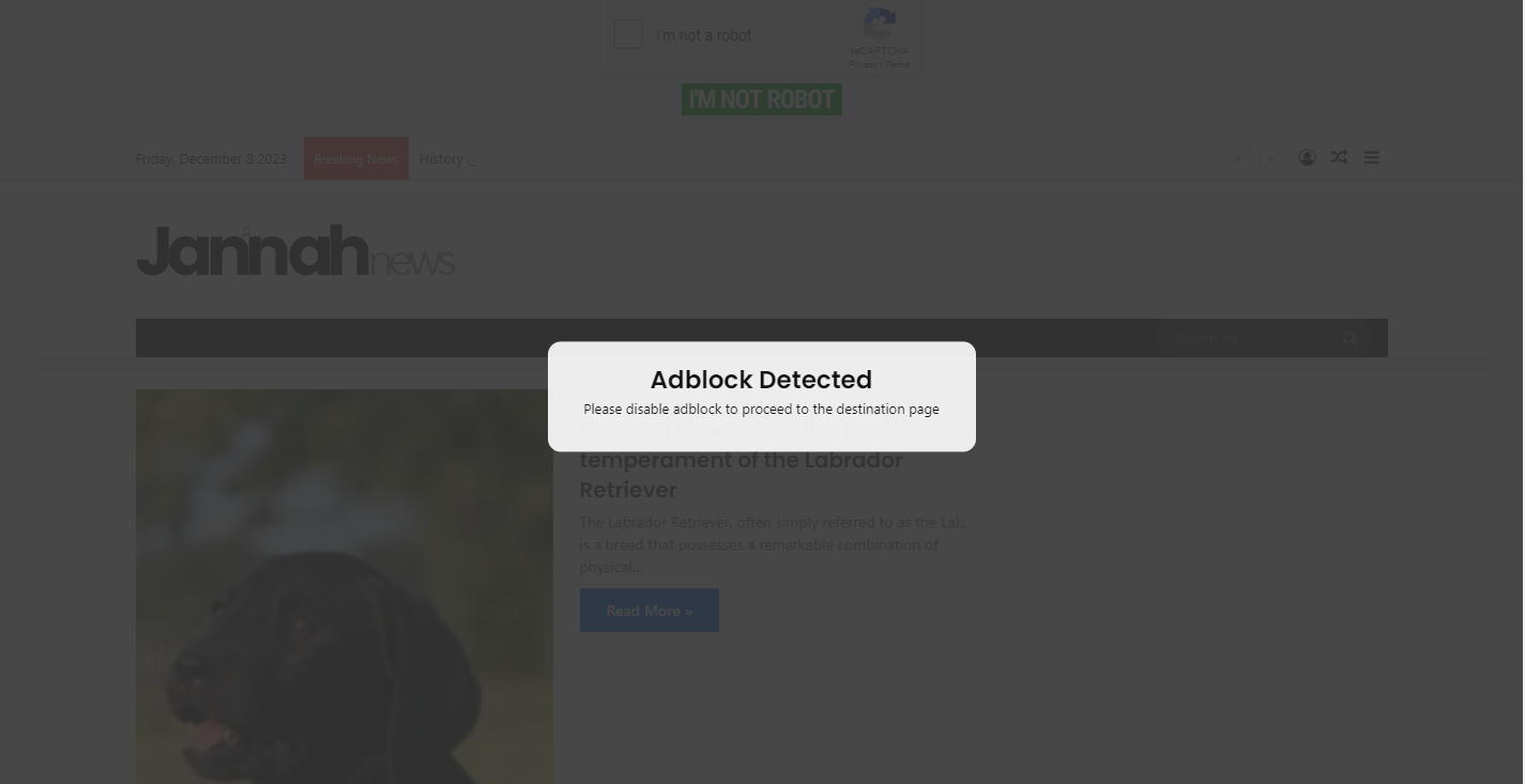 labrador.mayaremix.in · Issue #168086 · AdguardTeam/AdguardFilters · GitHub