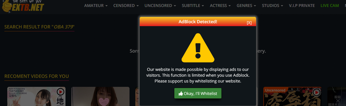 sextb.net · Issue #166788 · AdguardTeam/AdguardFilters · GitHub