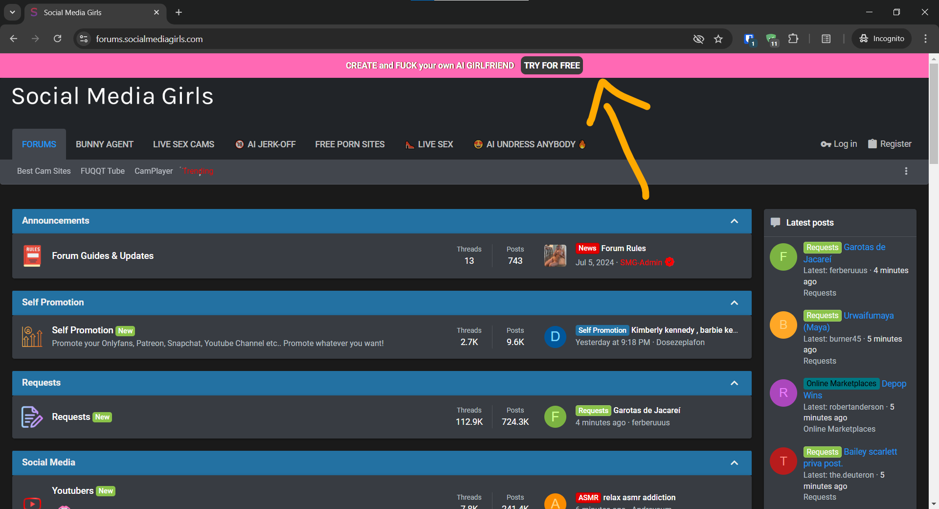 forums.socialmediagirls.com · Issue #193815 · AdguardTeam/AdguardFilters · GitHub