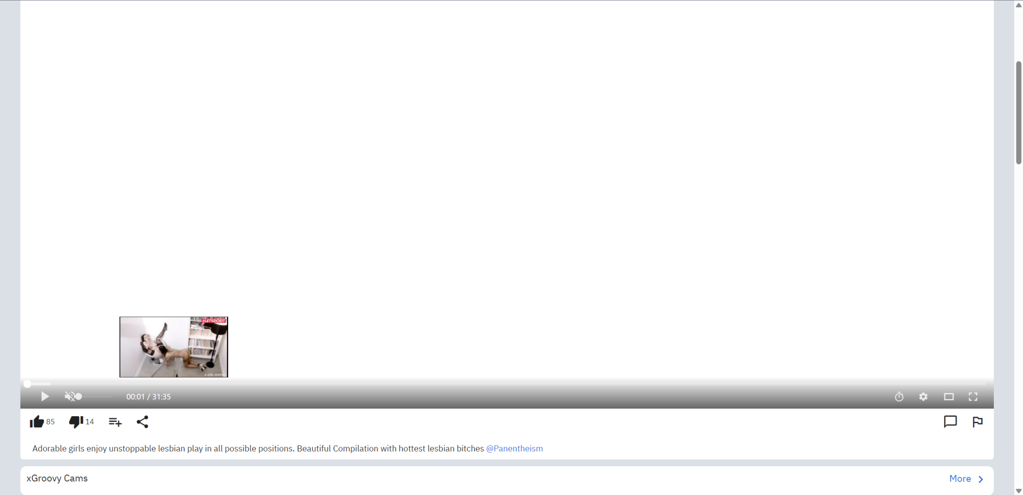 pl.xgroovy.com · Issue #184780 · AdguardTeam/AdguardFilters · GitHub