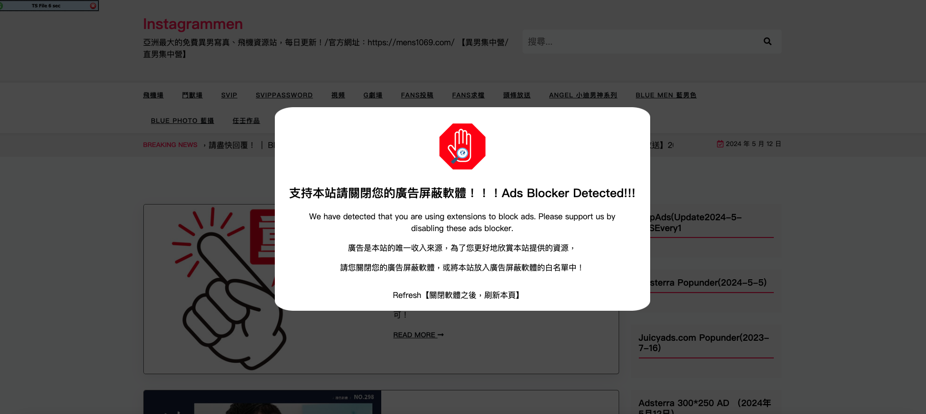 mens1069.com · Issue #179062 · AdguardTeam/AdguardFilters · GitHub