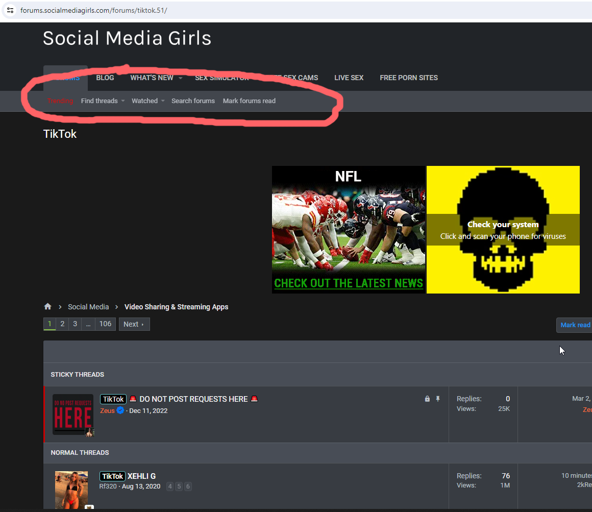 forums.socialmediagirls.com · Issue #169047 · AdguardTeam/AdguardFilters · GitHub