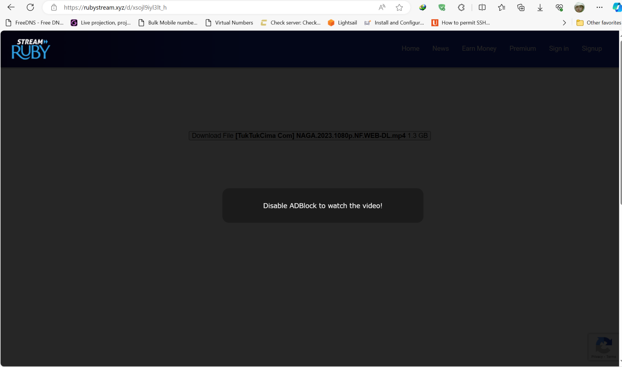 rubystream.xyz · Issue #168023 · AdguardTeam/AdguardFilters · GitHub