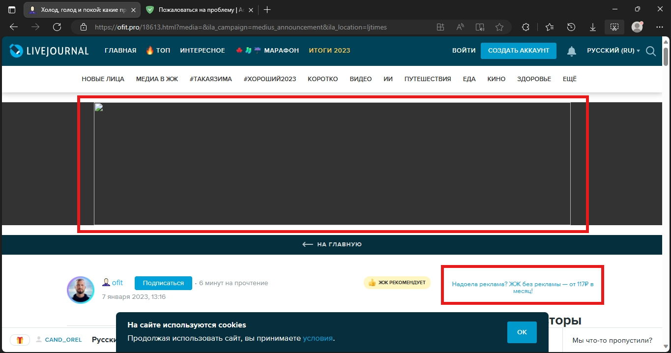 ofit.pro · Issue #170189 · AdguardTeam/AdguardFilters · GitHub