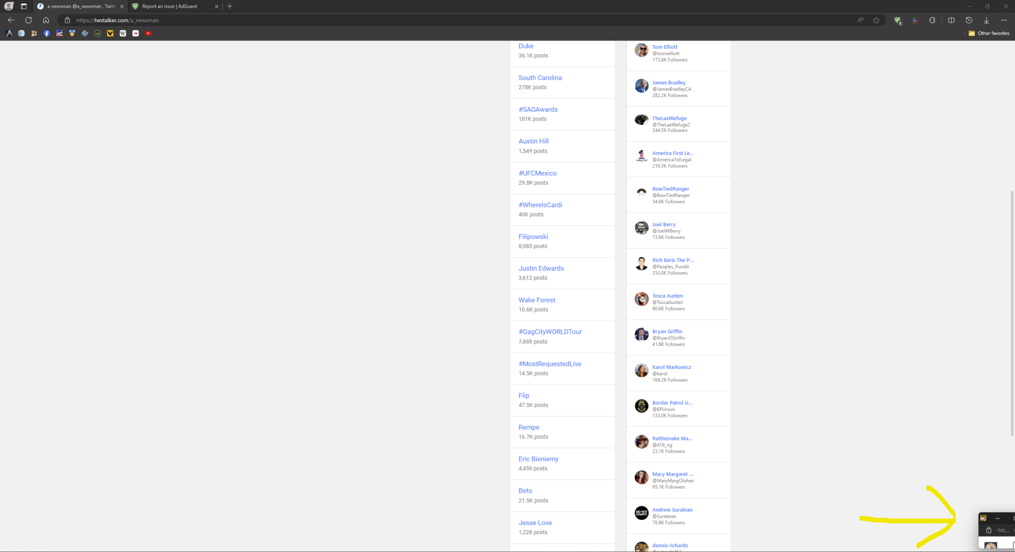 twstalker.com · Issue #173589 · AdguardTeam/AdguardFilters · GitHub