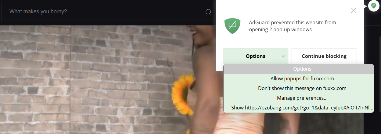 fuxxx.com · Issue #208662 · AdguardTeam/AdguardFilters · GitHub