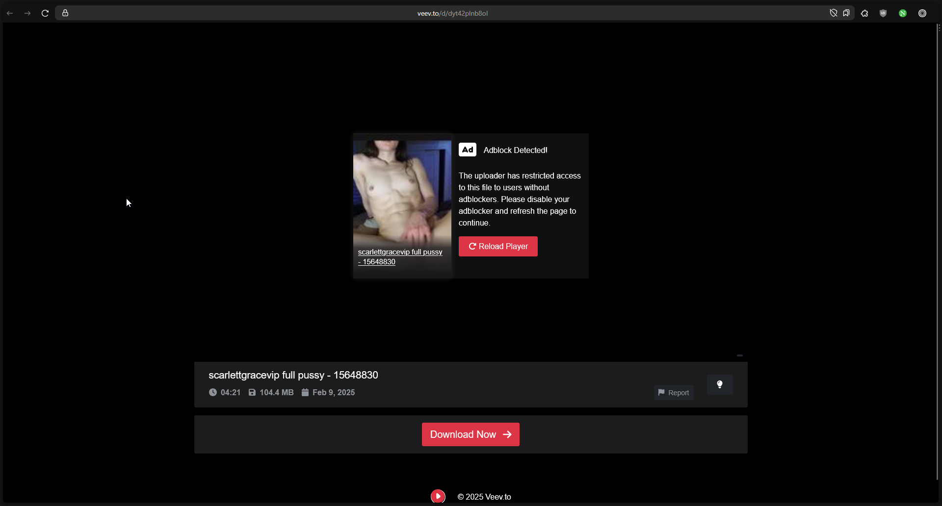 veev.to · Issue #198514 · AdguardTeam/AdguardFilters · GitHub
