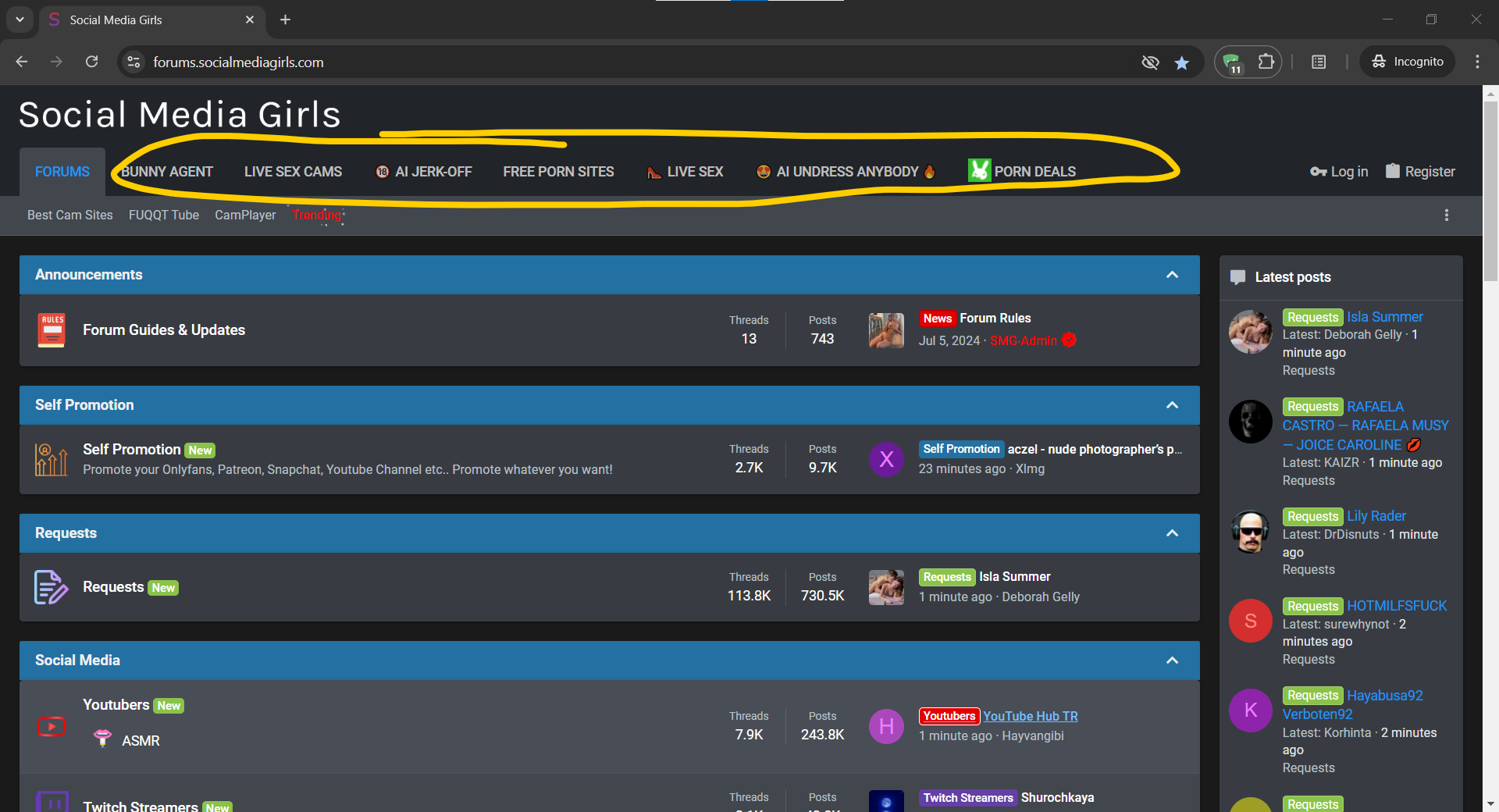 forums.socialmediagirls.com · Issue #194760 · AdguardTeam/AdguardFilters · GitHub