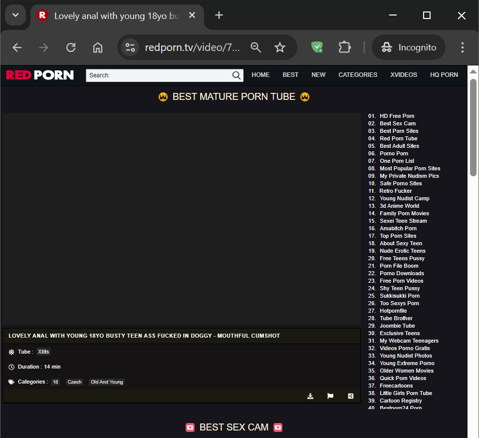 redporn.tv · Issue #200865 · AdguardTeam/AdguardFilters · GitHub