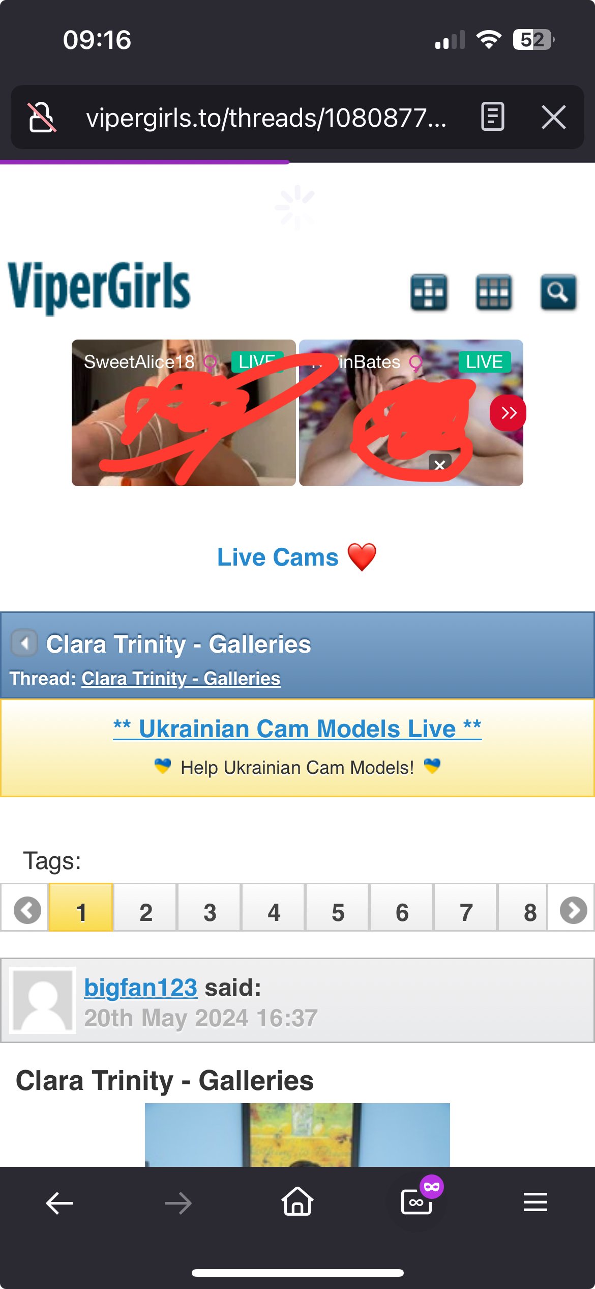 vipergirls.to · Issue #195387 · AdguardTeam/AdguardFilters · GitHub