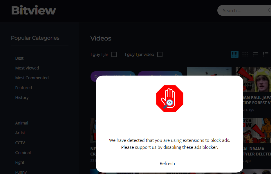 bitview.cloud · Issue #157539 · AdguardTeam/AdguardFilters · GitHub