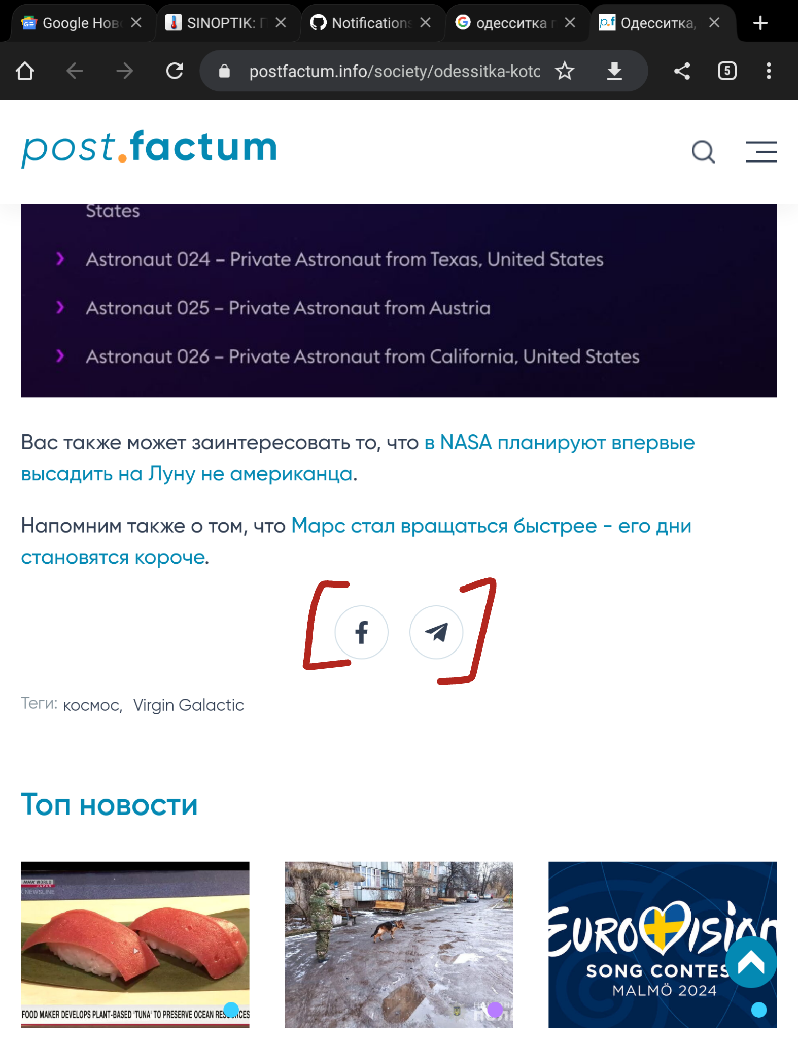 postfactum.info · Issue #171598 · AdguardTeam/AdguardFilters · GitHub