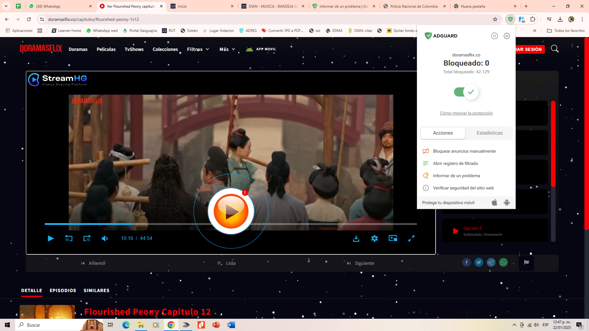 doramasflix.co · Issue #196949 · AdguardTeam/AdguardFilters · GitHub