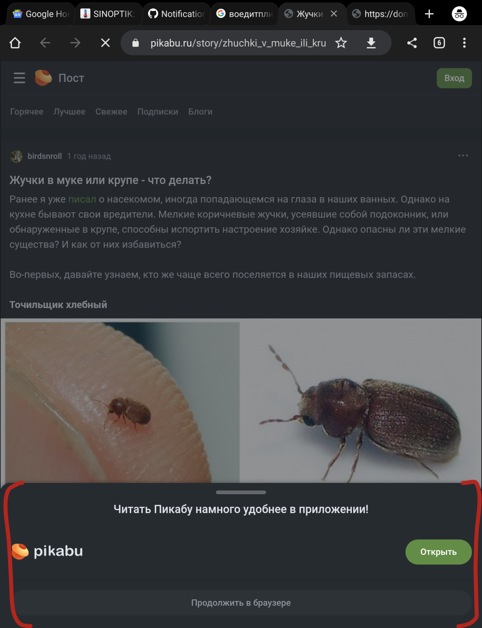 pikabu.ru · Issue #171232 · AdguardTeam/AdguardFilters · GitHub