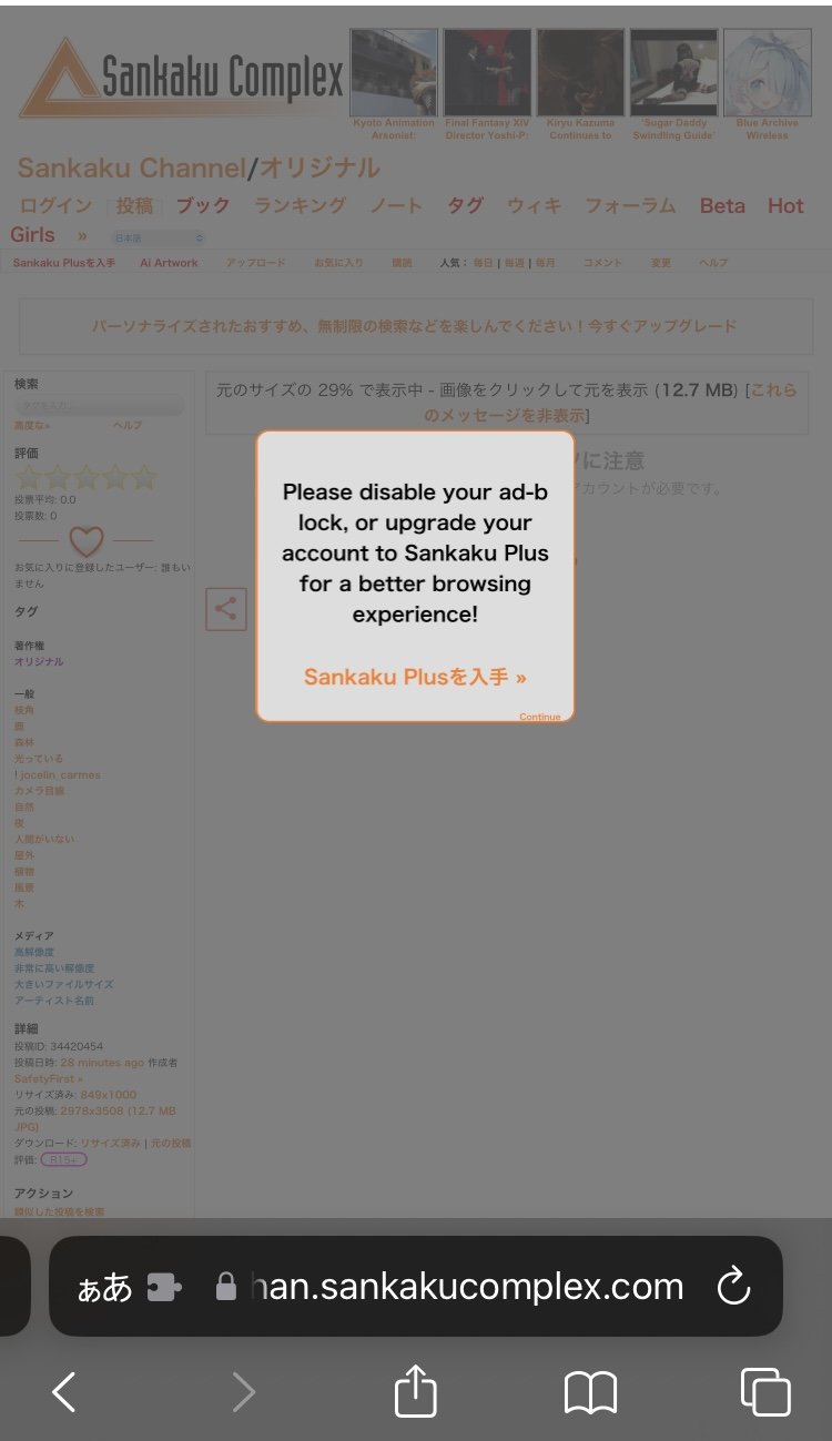 chan.sankakucomplex.com · Issue #162110 · AdguardTeam/AdguardFilters · GitHub
