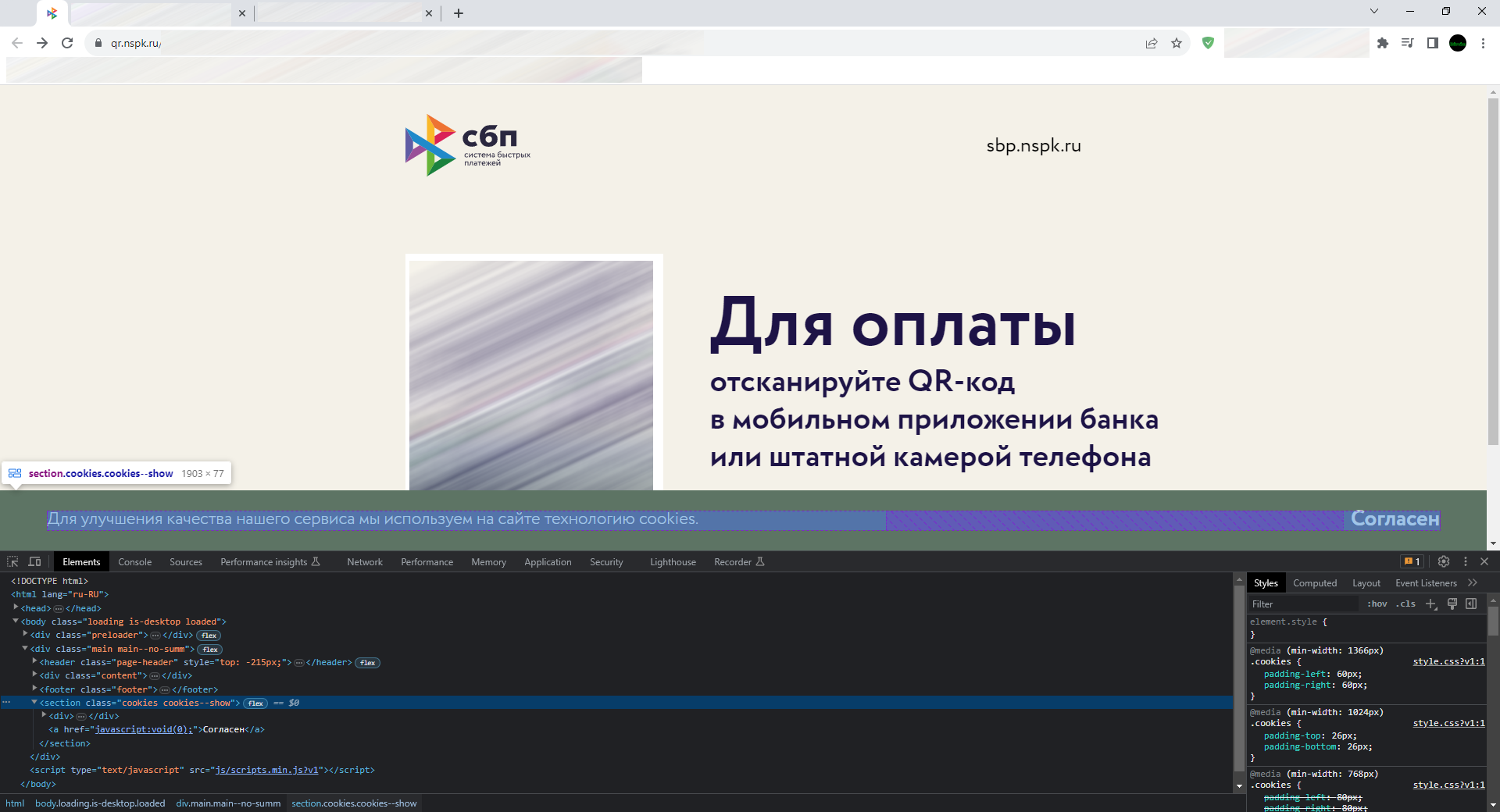 qr.nspk.ru · Issue #158816 · AdguardTeam/AdguardFilters · GitHub
