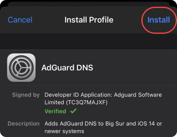 Connect to public AdGuard DNS server